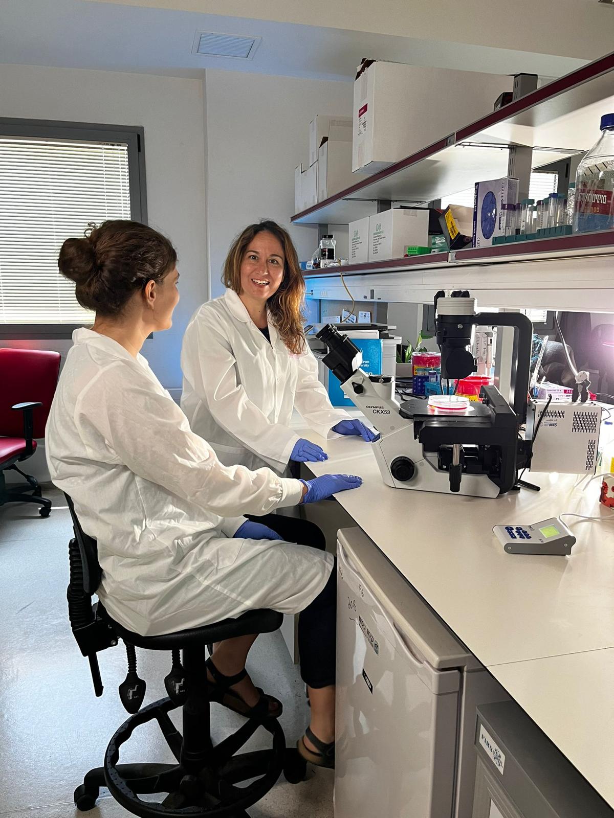 Ronit Ilouz, PhD - Israel Cancer Research Fund